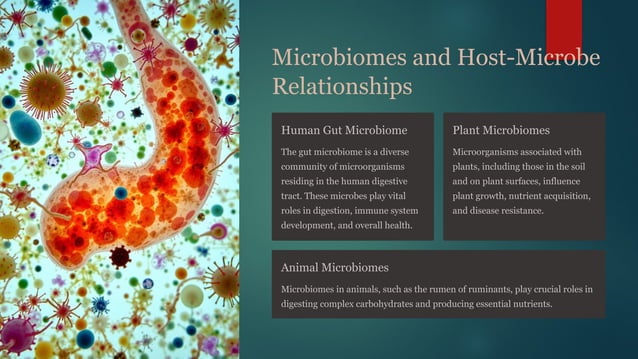 Lesson 5-Introduction-to-Microbial-Ecosystems.pptx