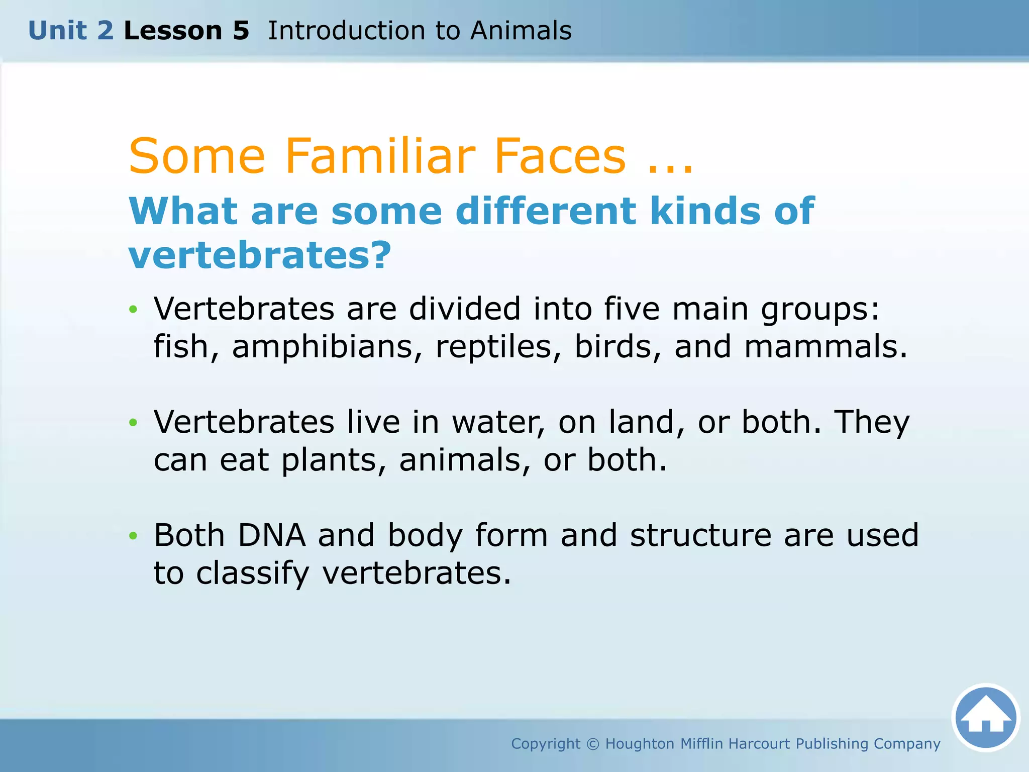 Lesson 5 introduction to animals | PPTX