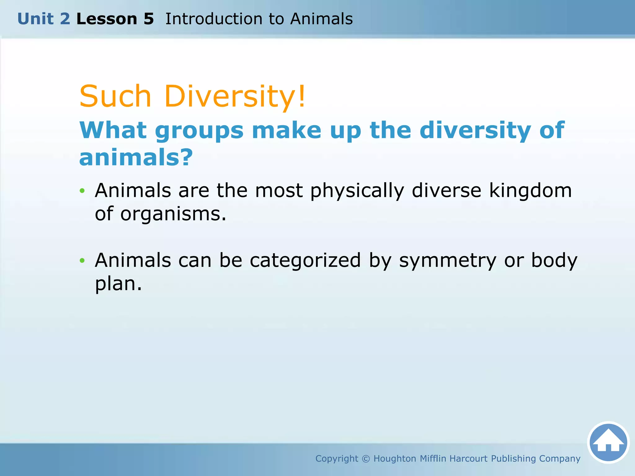 Lesson 5 introduction to animals | PPTX