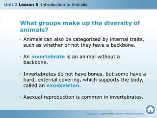 Lesson 5 introduction to animals | PPTX