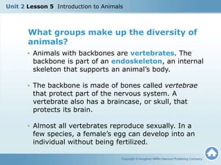 Lesson 5 introduction to animals | PPTX