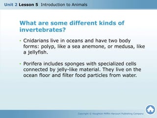 Lesson 5 introduction to animals | PPTX