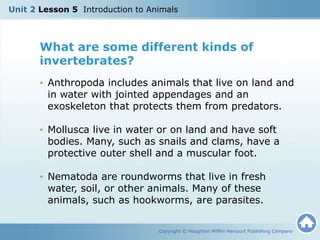 Lesson 5 introduction to animals | PPTX