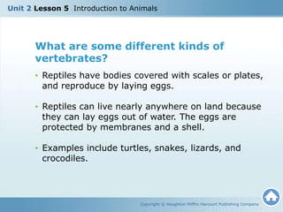 Lesson 5 introduction to animals | PPTX