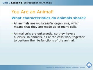 Lesson 5 introduction to animals | PPTX