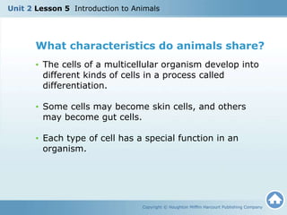 Lesson 5 introduction to animals | PPTX