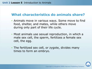 Lesson 5 introduction to animals | PPTX