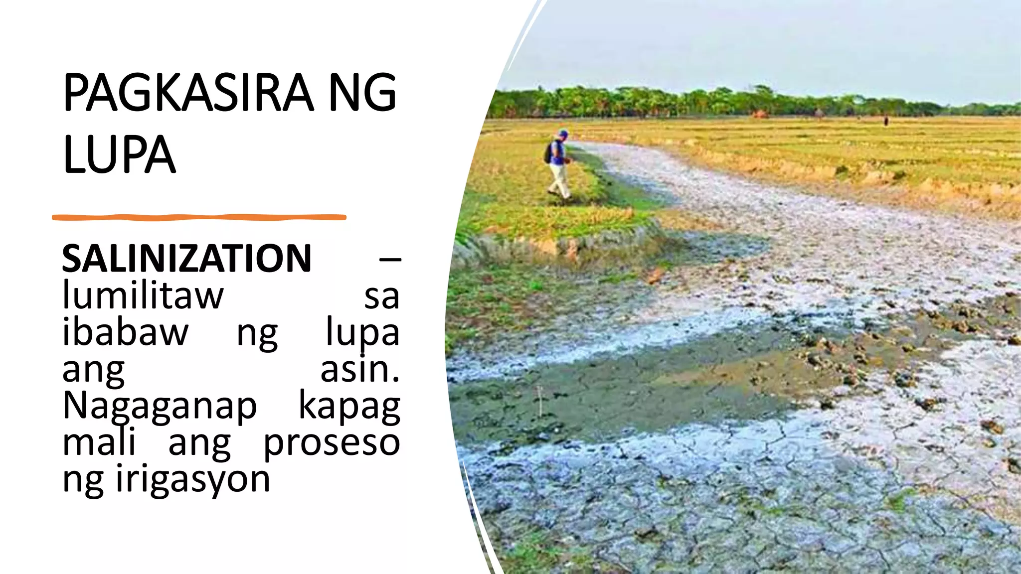 LESSON5-MGA SULIRANING PANGKAPALIGIRAN SA ASYA.pptx