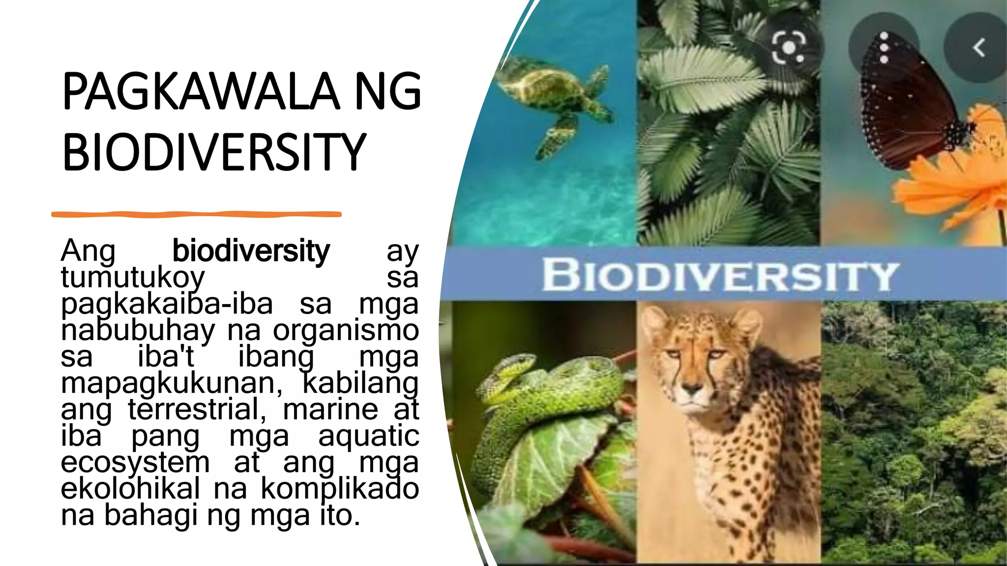 LESSON5-MGA SULIRANING PANGKAPALIGIRAN SA ASYA.pptx