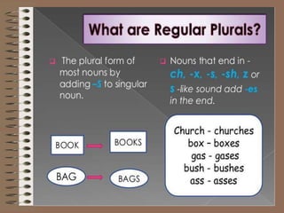 Lesson 5-REGULAR AND REGULAR NOUNS (1).pptx