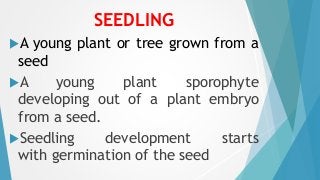 Lesson 5-Seedlings and Ways on How to Take Care of It.pptx