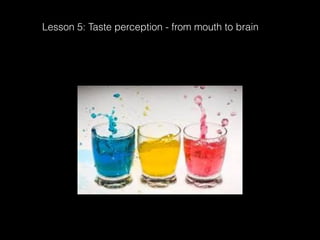 Lesson 5 taste perception - mouth to brain | PDF