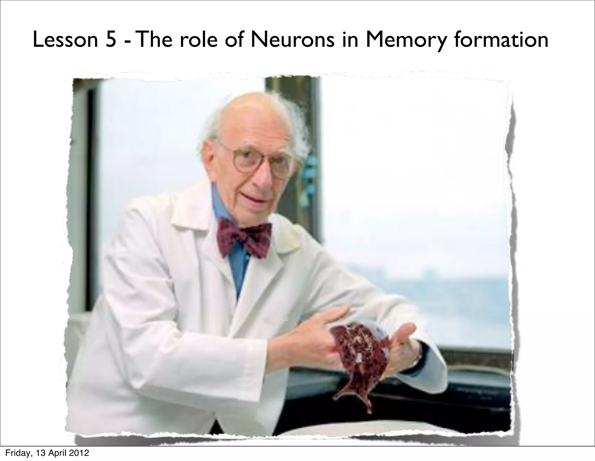 Lesson 5 the role of the neuron in memory formation 2012 sh | PPT