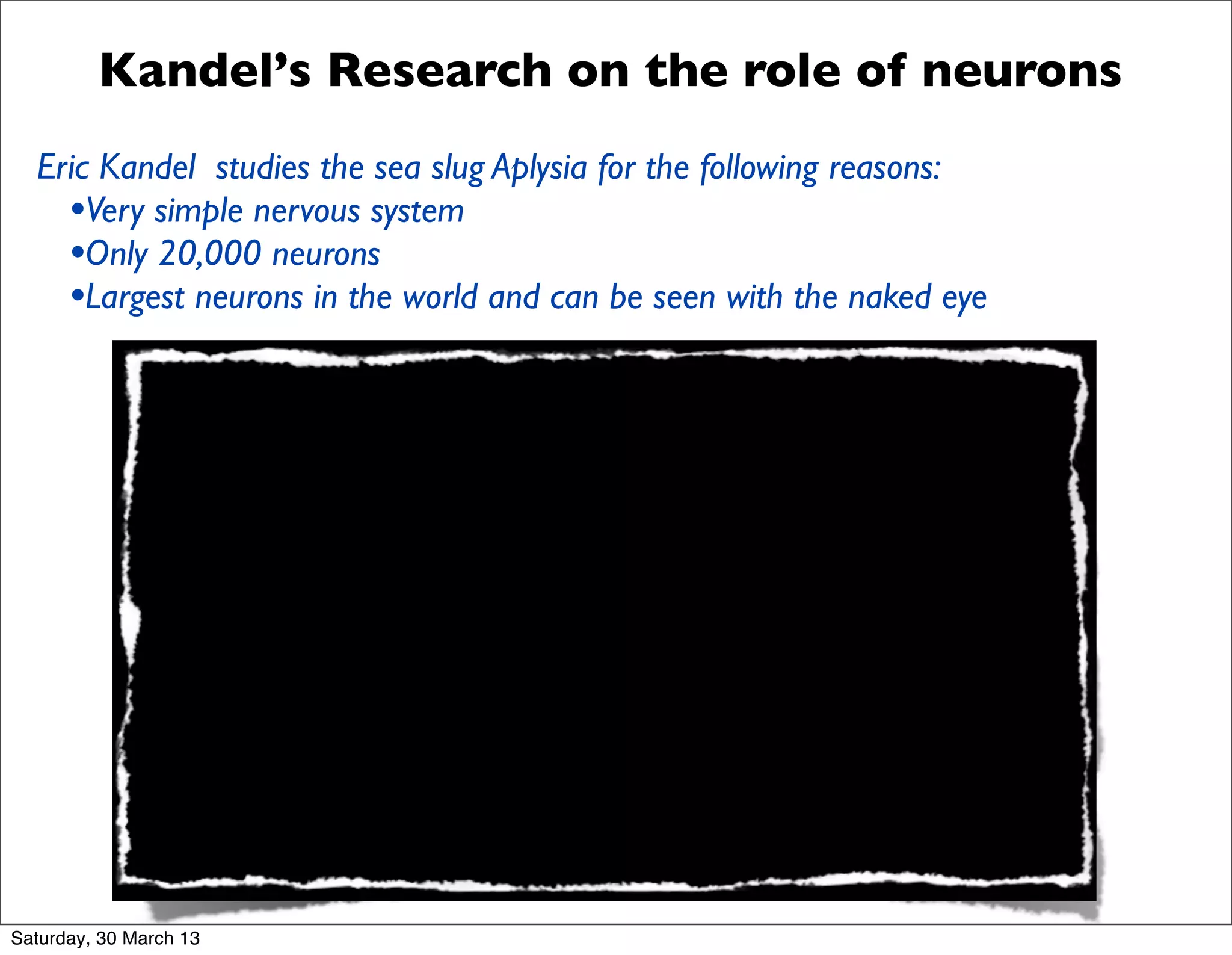 Lesson 5 the role of the neuron in memory formation 2013 | PDF