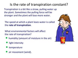 Mrs Abrey Lesson 5 transpiration | PPT