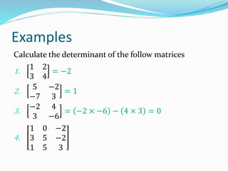 Lesson 5 a matrix inverse | PPTX