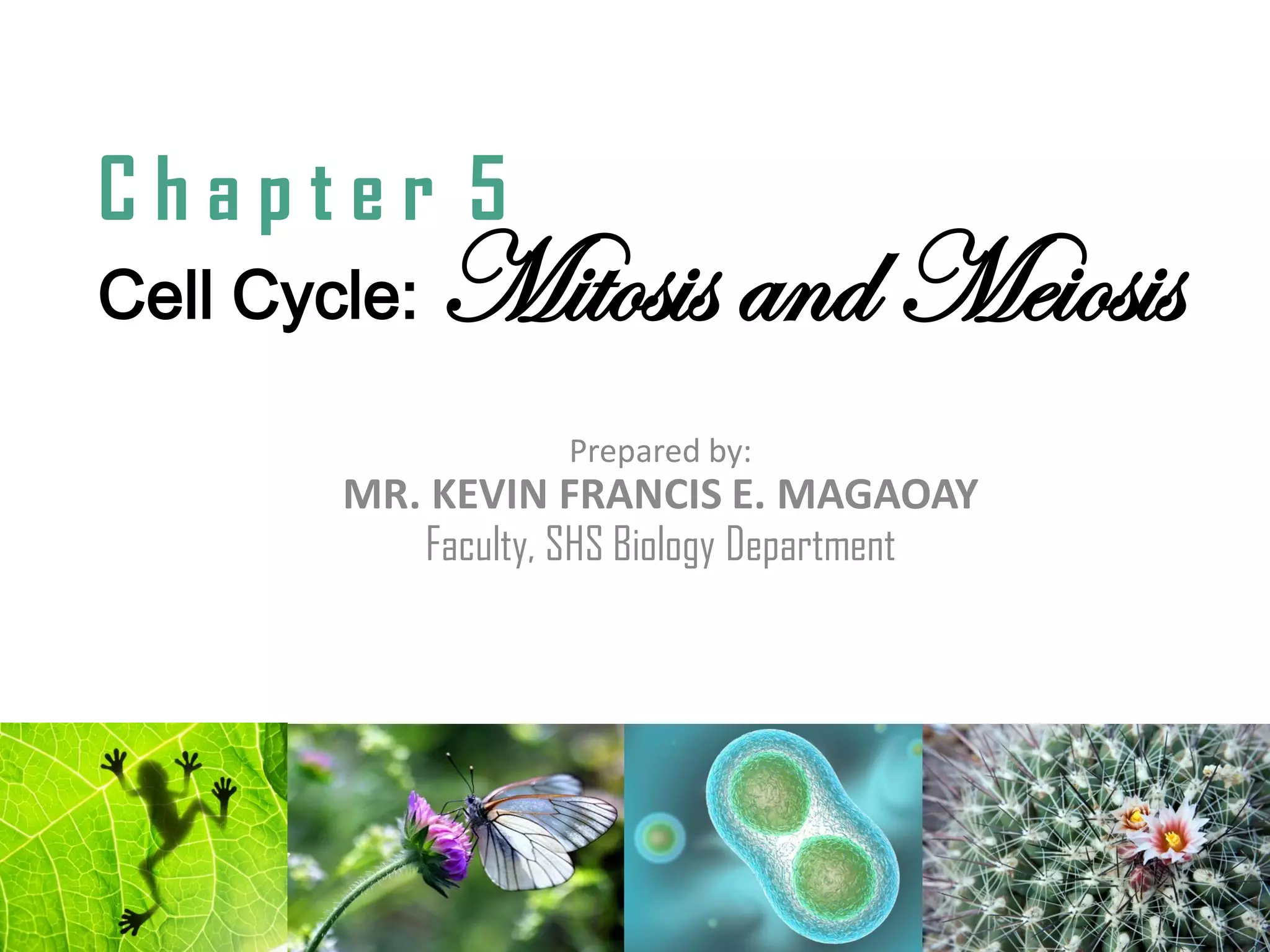 Lesson 5 Cell Cycle (Mitosis and Meiosis) | PDF