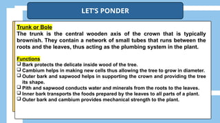 EMBRACING FAITH- GR 4 MATATAG CURRICULUM | PPTX