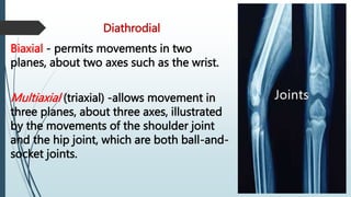 Lesson 5 (Joints).pptx