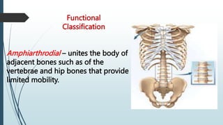 Lesson 5 (Joints).pptx