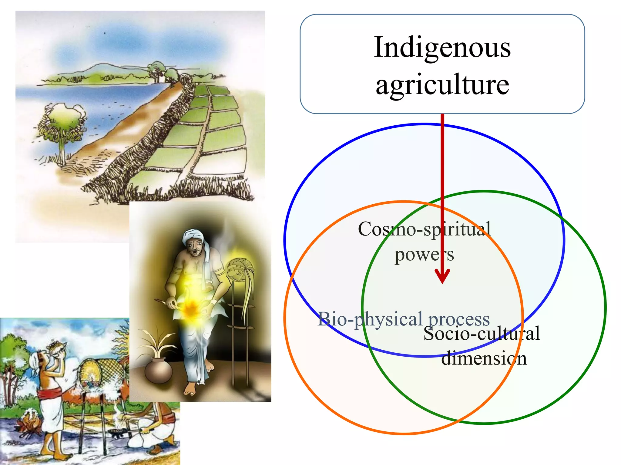 Indigenous Knowledge Systems - 5 | PDF