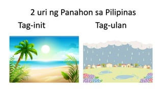 - Lesson 5 (Panahon at Kalamidad na Nararanasan sa Sariling Komunidad).pptx
