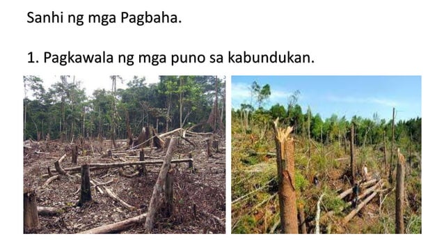 - Lesson 5 (Panahon at Kalamidad na Nararanasan sa Sariling Komunidad).pptx