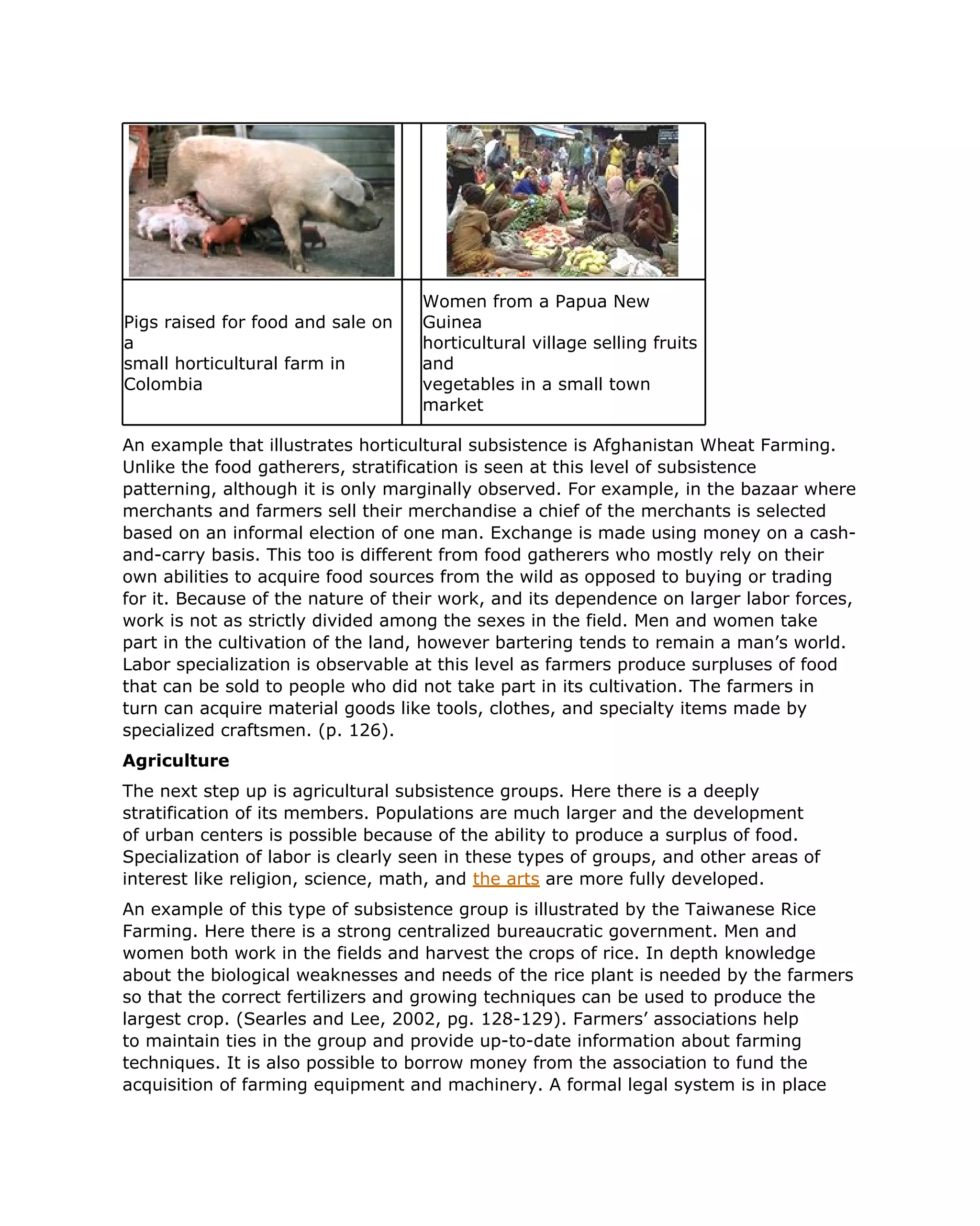 Lesson 5 patterns of subsistence.doc