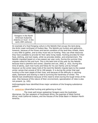 Lesson 5 patterns of subsistence.doc