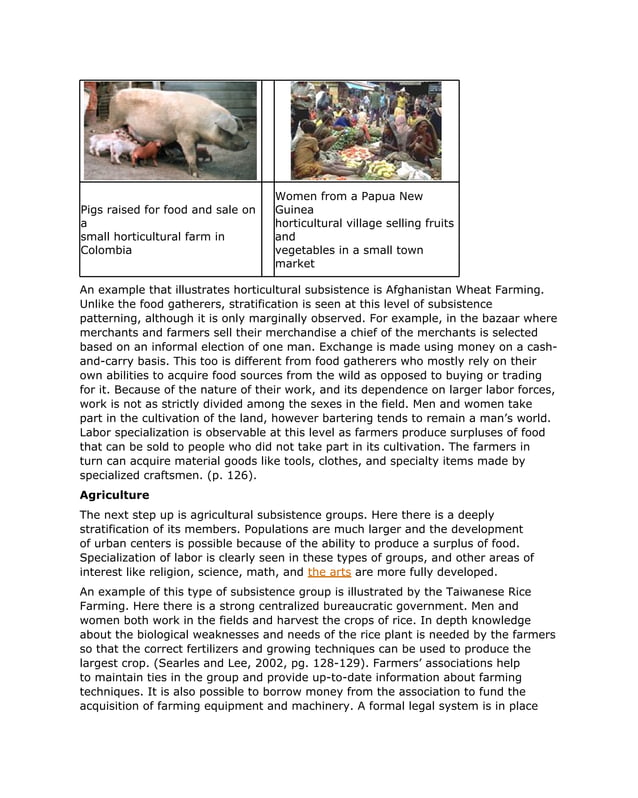 Lesson 5 patterns of subsistence.doc