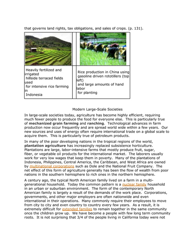 Lesson 5 patterns of subsistence.doc
