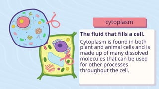 LESSON 5_Plant and Animal Cells and their parts | PPTX