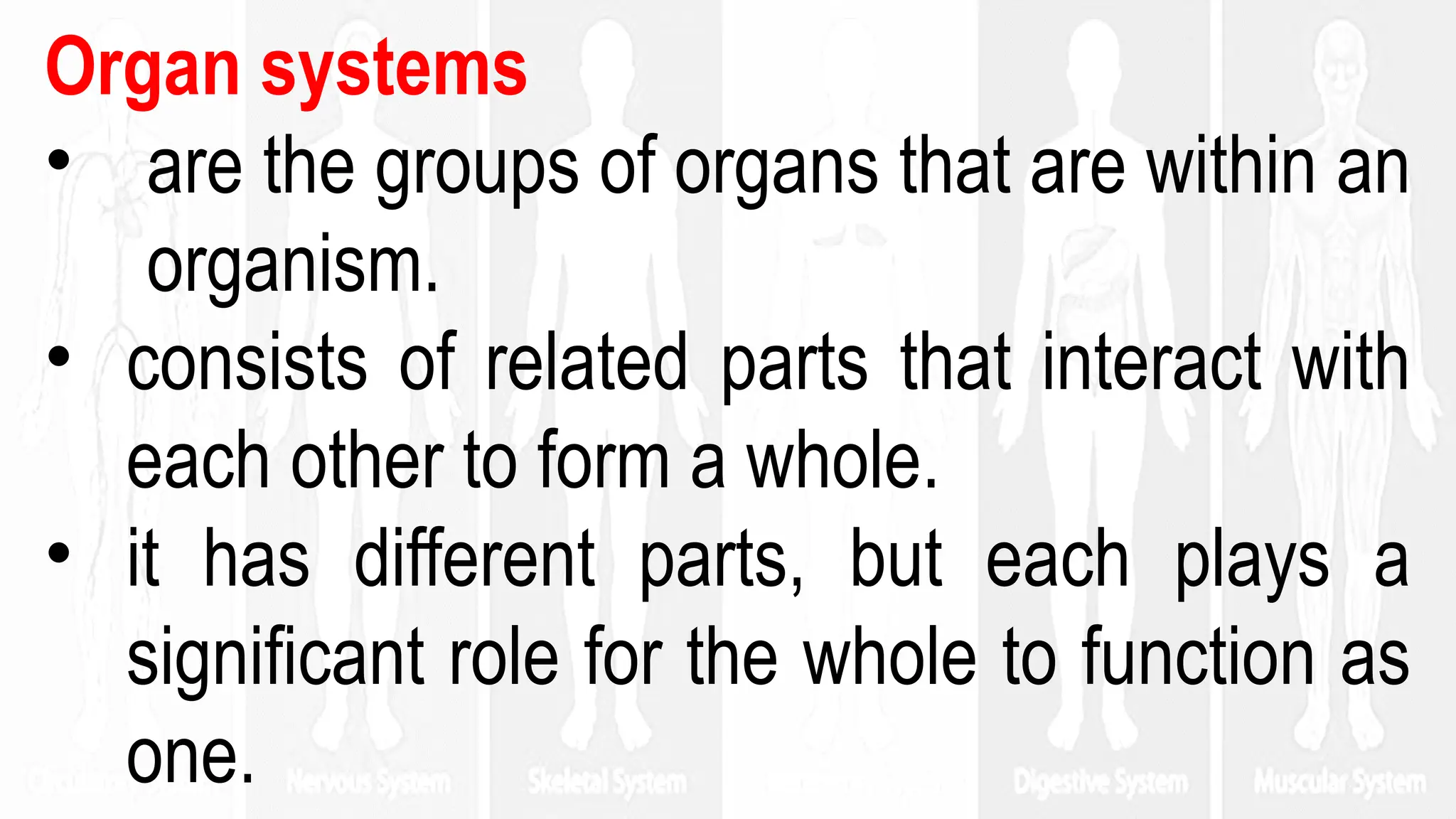 LESSON 5 Q2 ORGAN SYSTEMS (Animals).pptx
