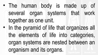 LESSON 5 Q2 ORGAN SYSTEMS (Animals).pptx