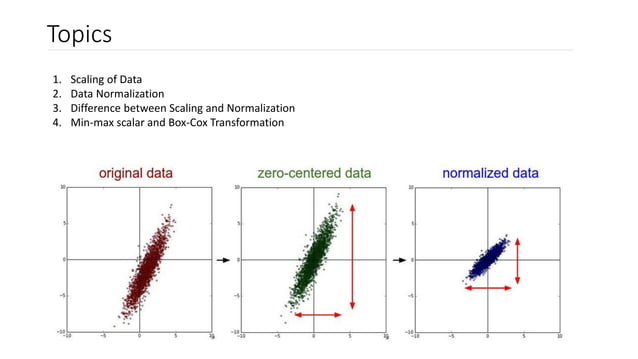 Scaling and Normalization | PDF