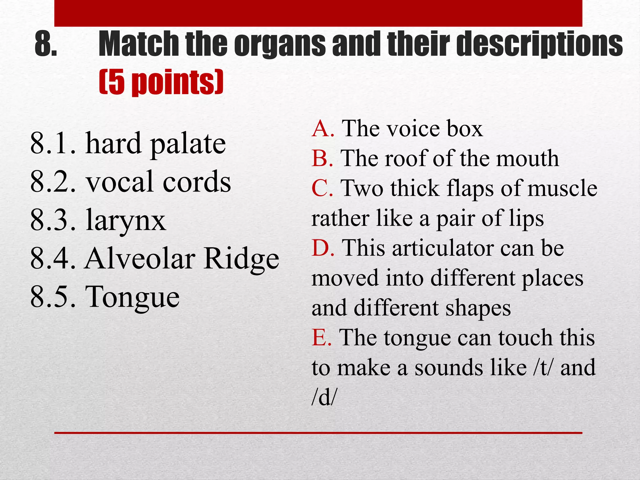 The Organs of Speech | PPTX