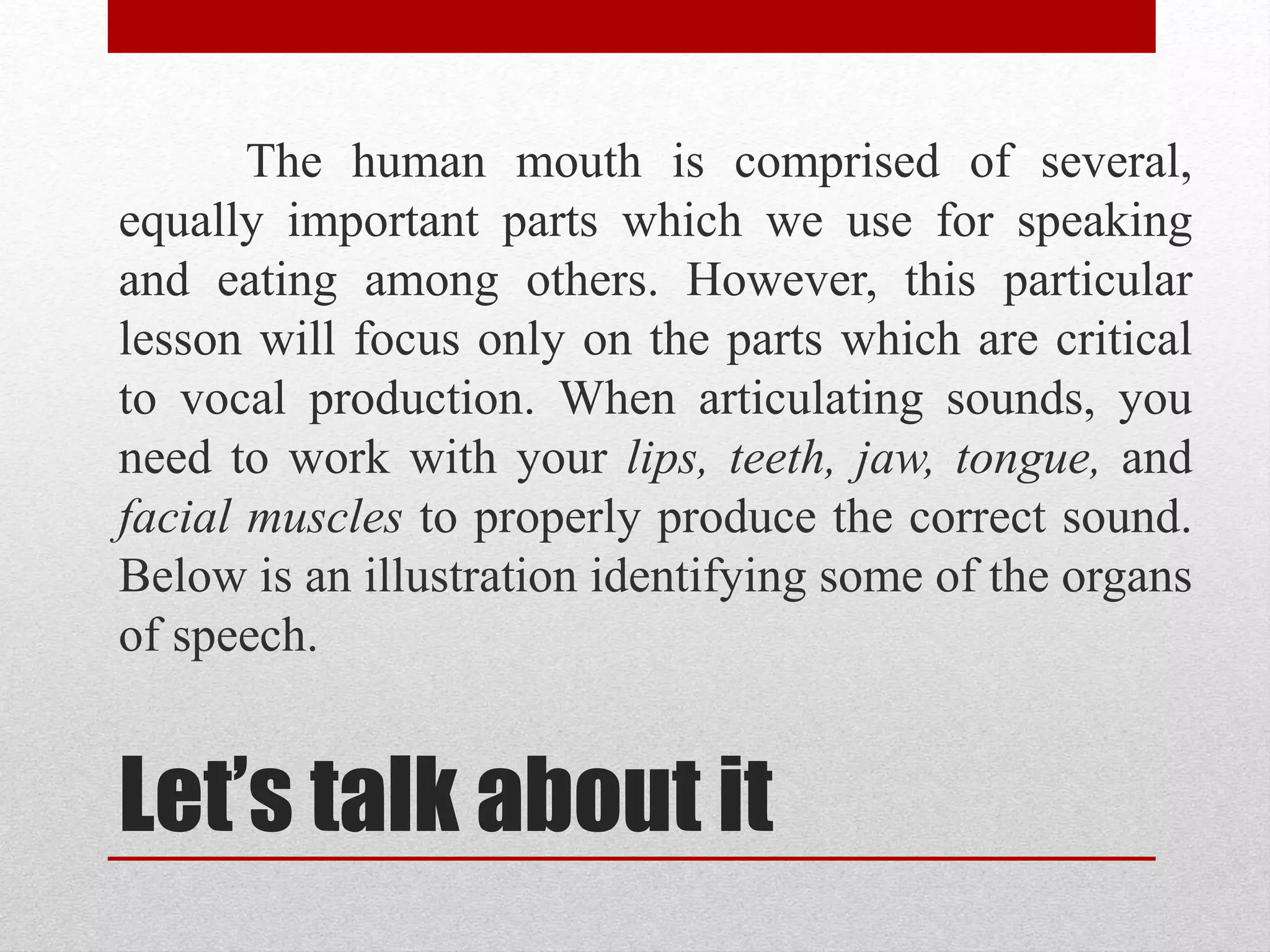 The Organs of Speech | PPTX