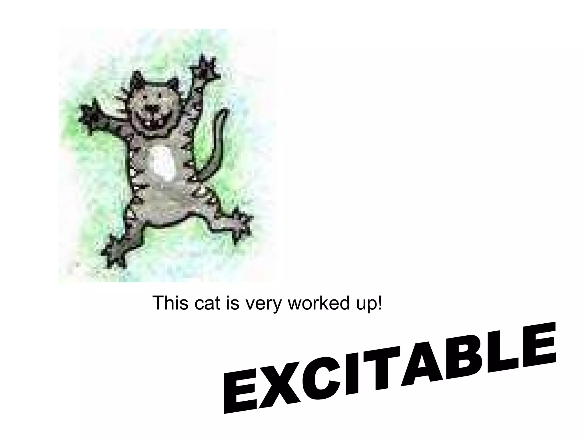 Lesson 5 vocab | PPT