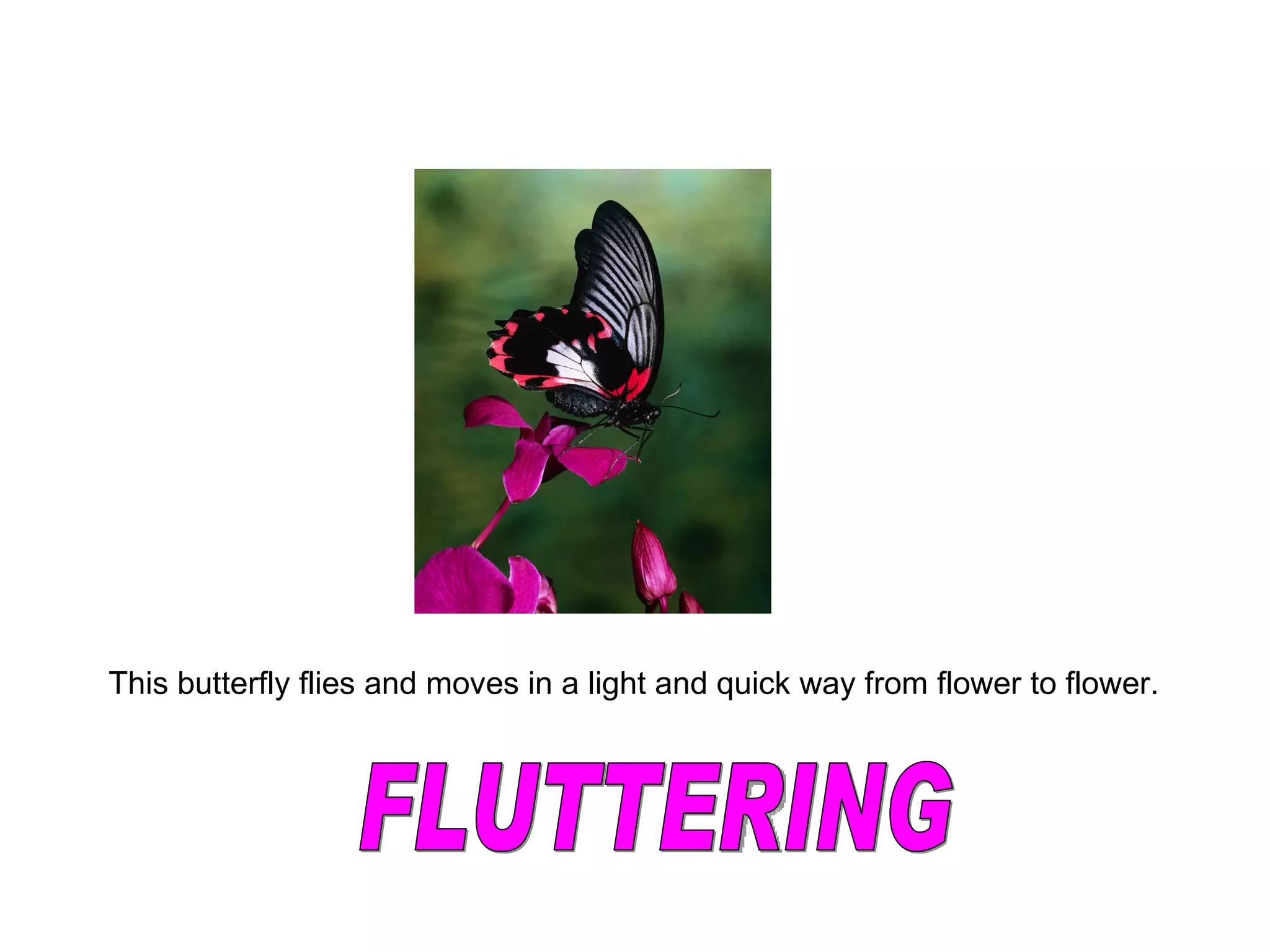 Lesson 5 vocab | PPT