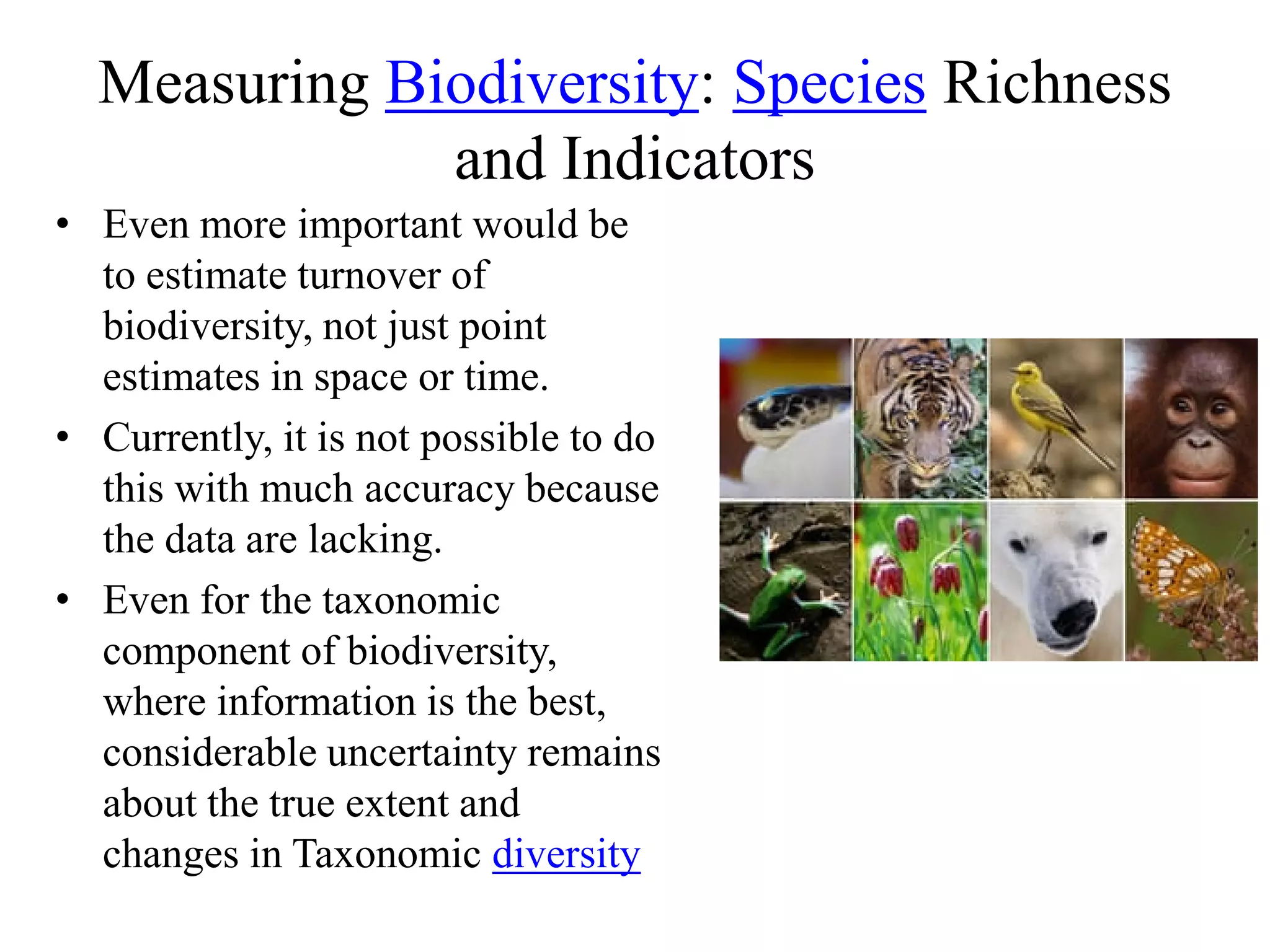 Lesson 6. biodiversity | PDF