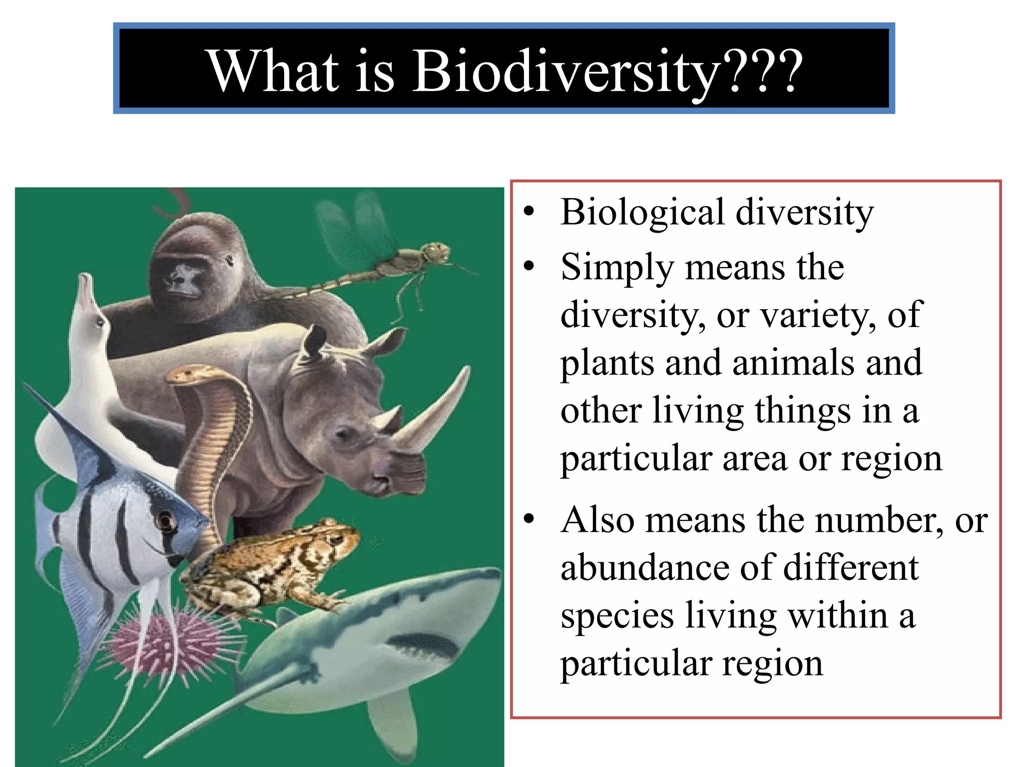 Lesson 6. biodiversity | PDF