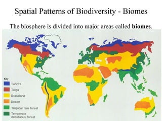 Lesson 6. biodiversity | PDF