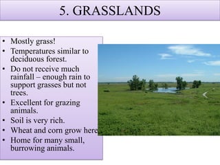 Lesson 6. biodiversity | PDF