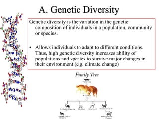 Lesson 6. biodiversity | PDF