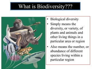 Lesson 6. biodiversity | PDF