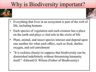 Lesson 6. biodiversity | PDF