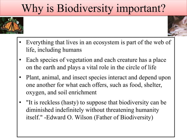 Lesson 6. biodiversity | PDF | Geography | Science