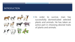 Lesson 6: Genetic Engineering | PPTX
