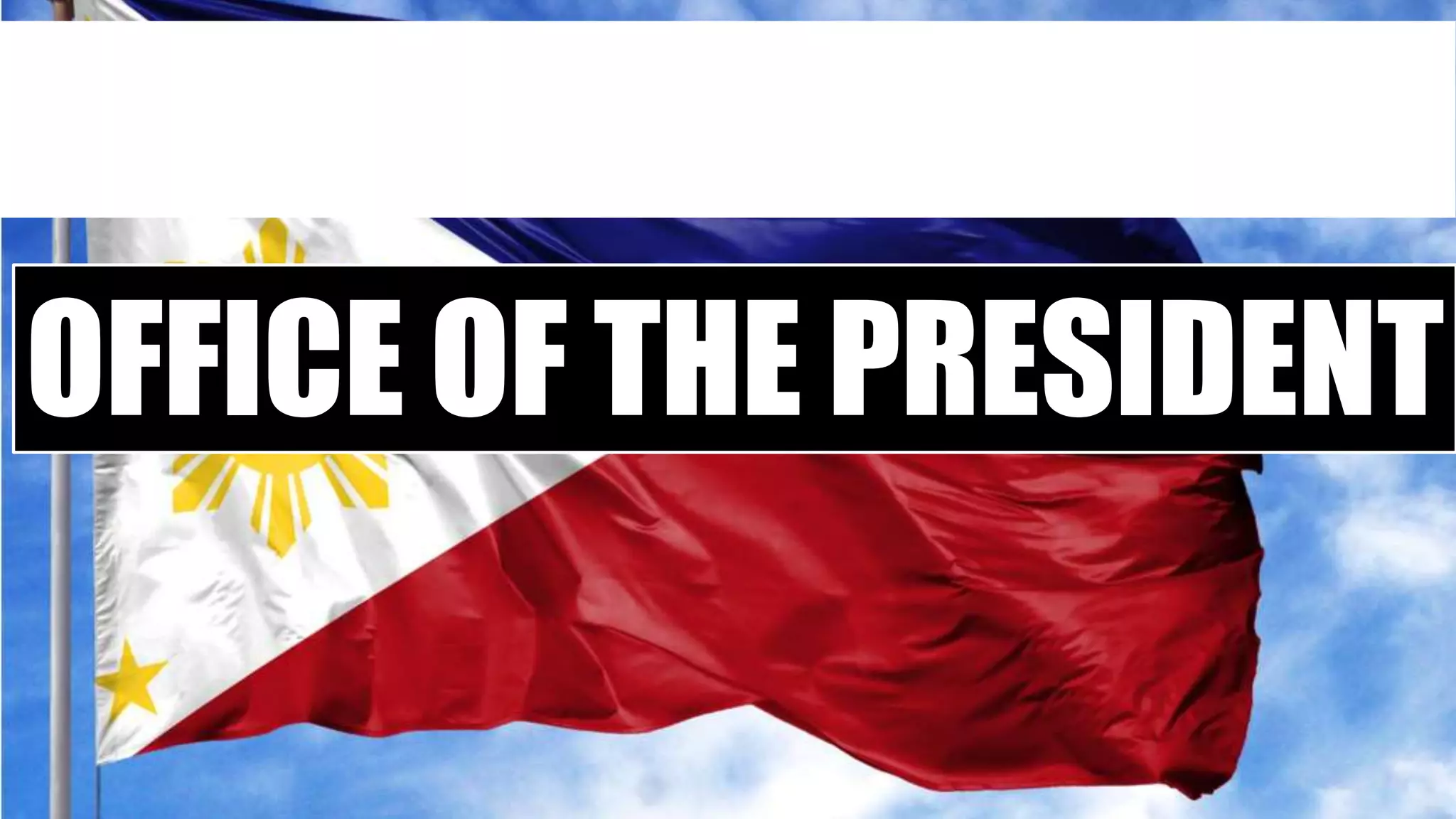 THE ROLES AND POWER OF EXECUTIVE BRANCH | PPTX