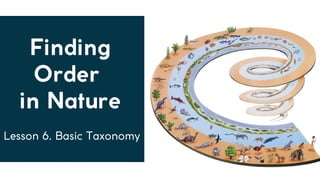 Lesson 6. Basic Taxonomy and Classification | PDF